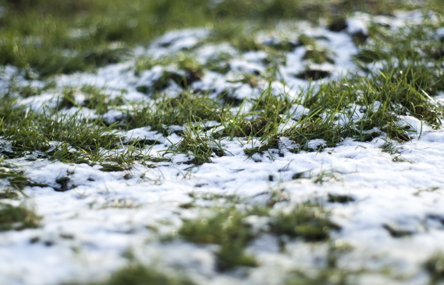 How Snow Affects Your Lawn